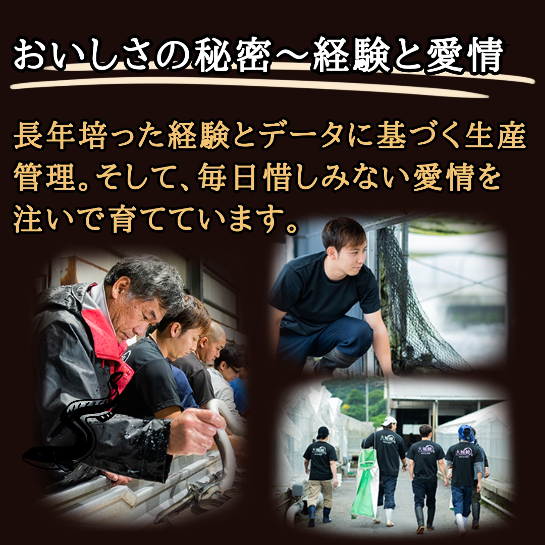 うなぎ蒲焼170g~180g（2尾セット） うなぎの大楠